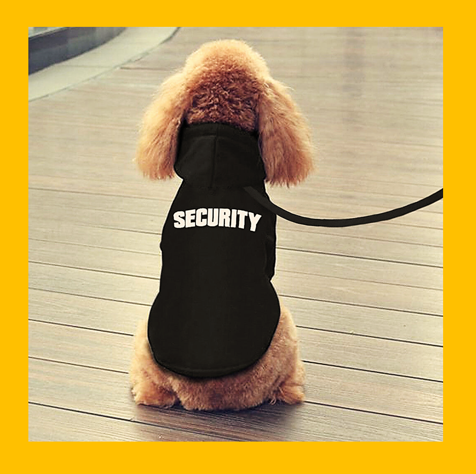 Security Dogs - Chameleon Associates